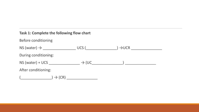 Section d revision | PPT