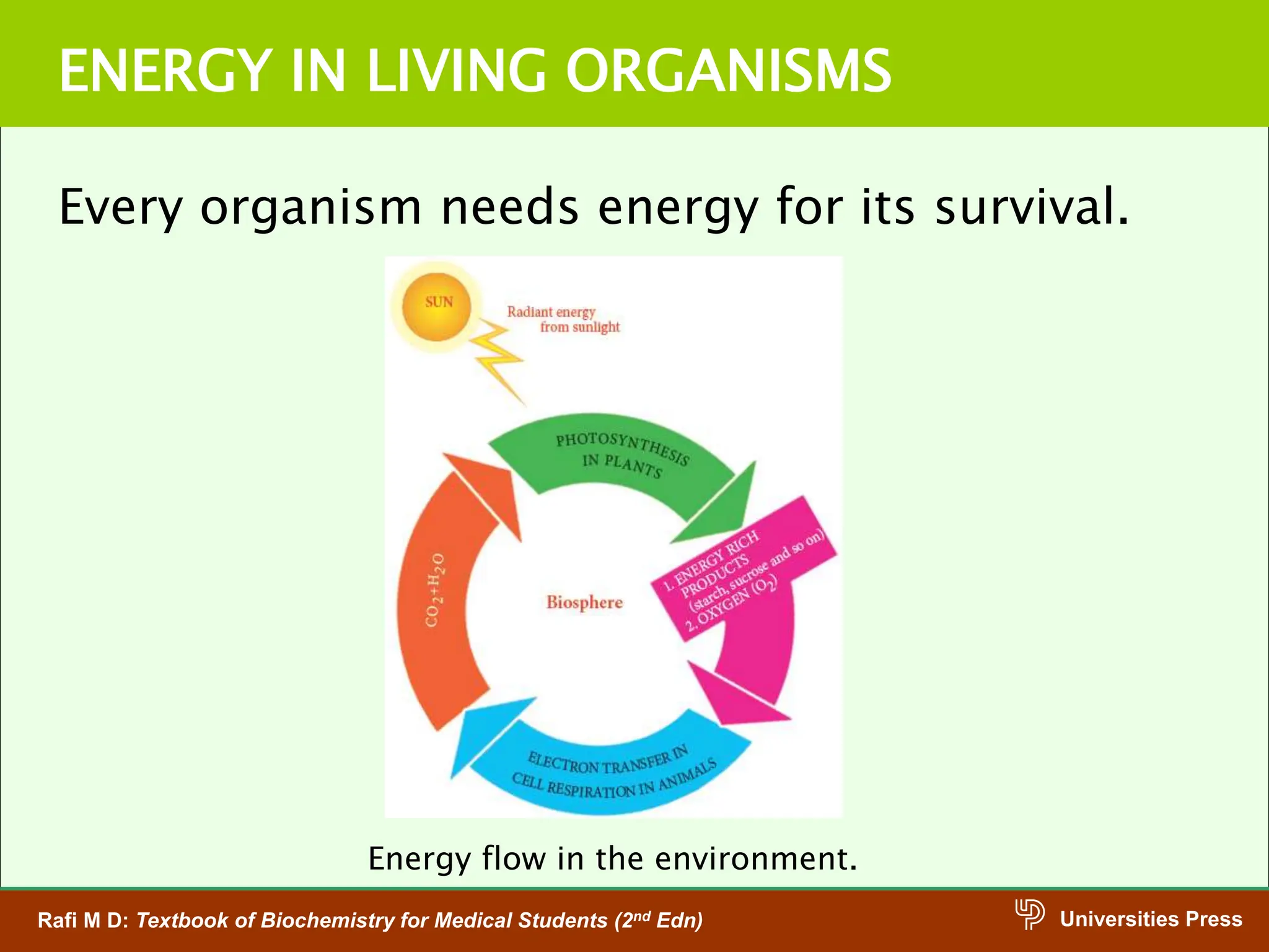 Section I - Chapter 1 - Learning Biochemistry.ppt
