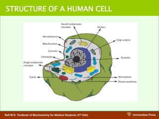 Section I - Chapter 1 - Learning Biochemistry.ppt