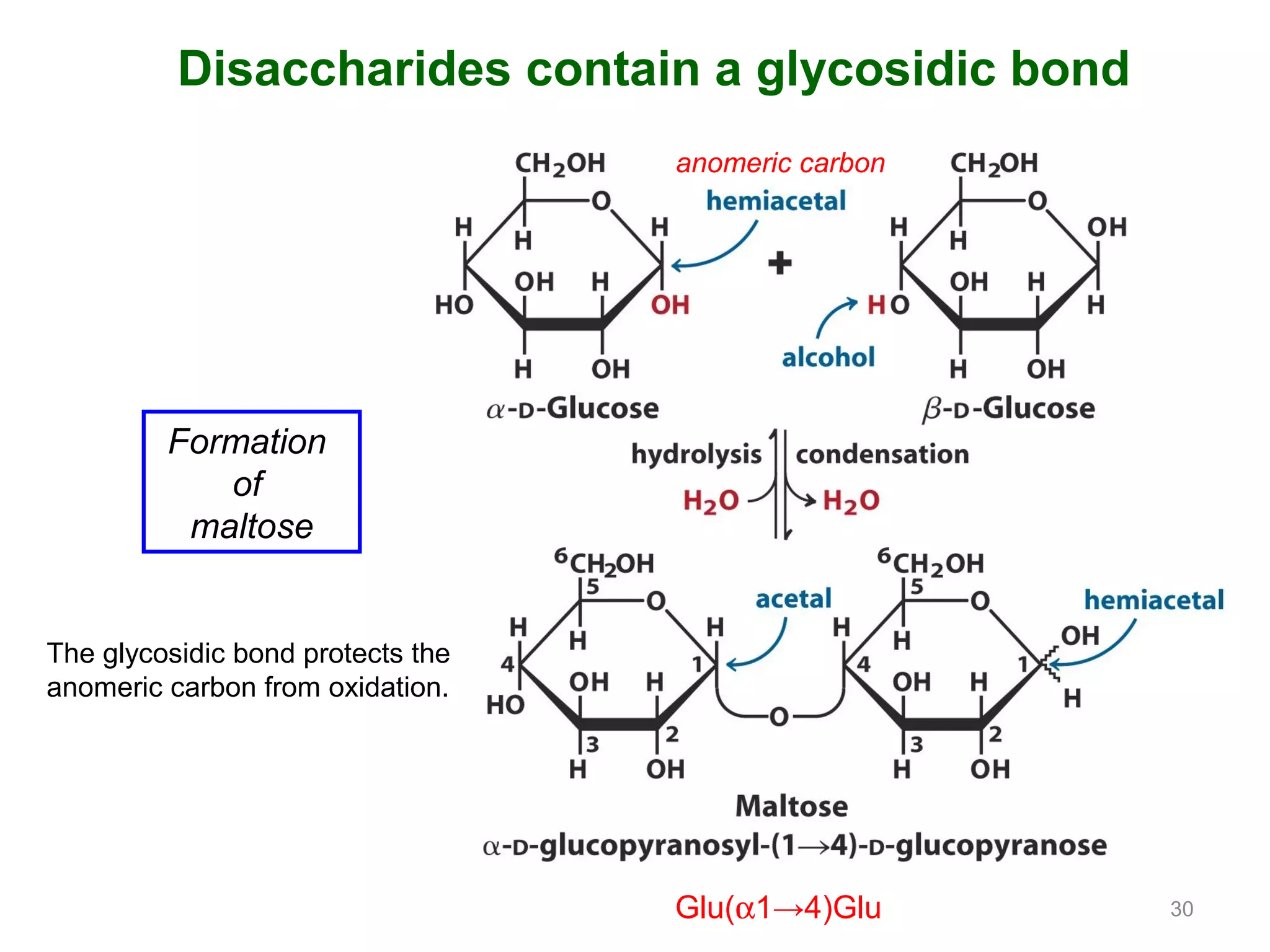 Section ii a biochemistry carbohydrate | PPT | Chemistry | Science