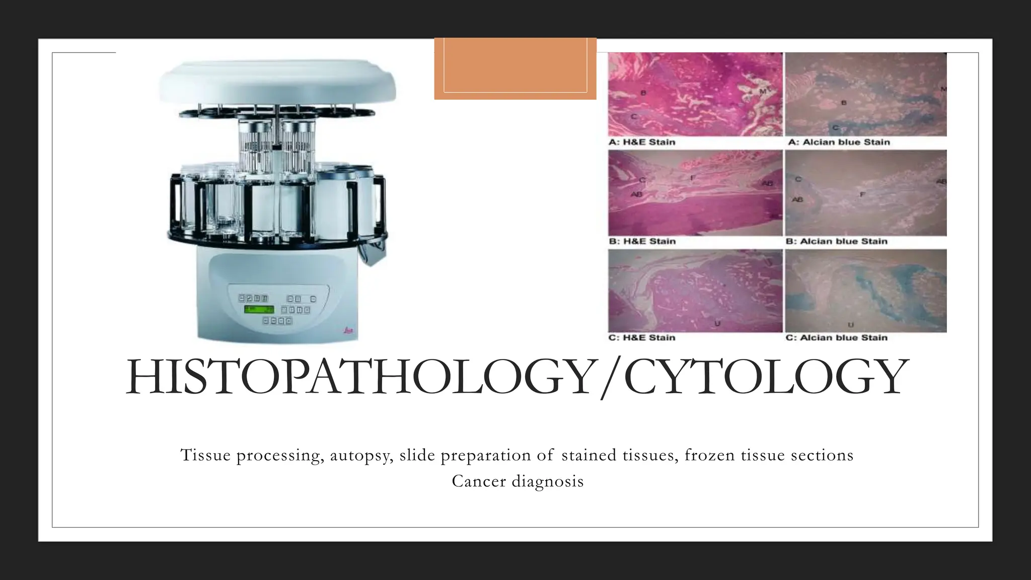 SECTIONS OF THE CLINICAL LABORATORY (1).pptx