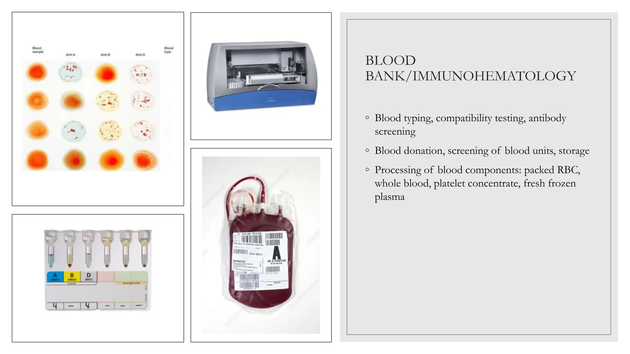 SECTIONS OF THE CLINICAL LABORATORY (1).pptx
