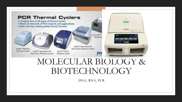 SECTIONS OF THE CLINICAL LABORATORY (1).pptx