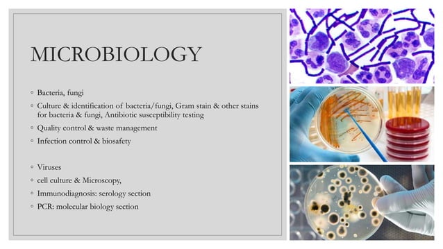 SECTIONS OF THE CLINICAL LABORATORY (1).pptx