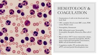 SECTIONS OF THE CLINICAL LABORATORY (1).pptx