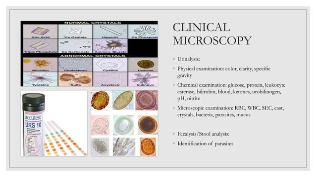 SECTIONS OF THE CLINICAL LABORATORY (1).pptx