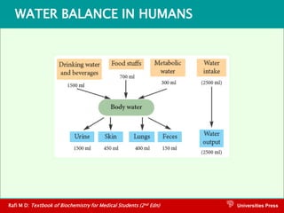 Section VI - role of waterChapter 3 - Water.ppt
