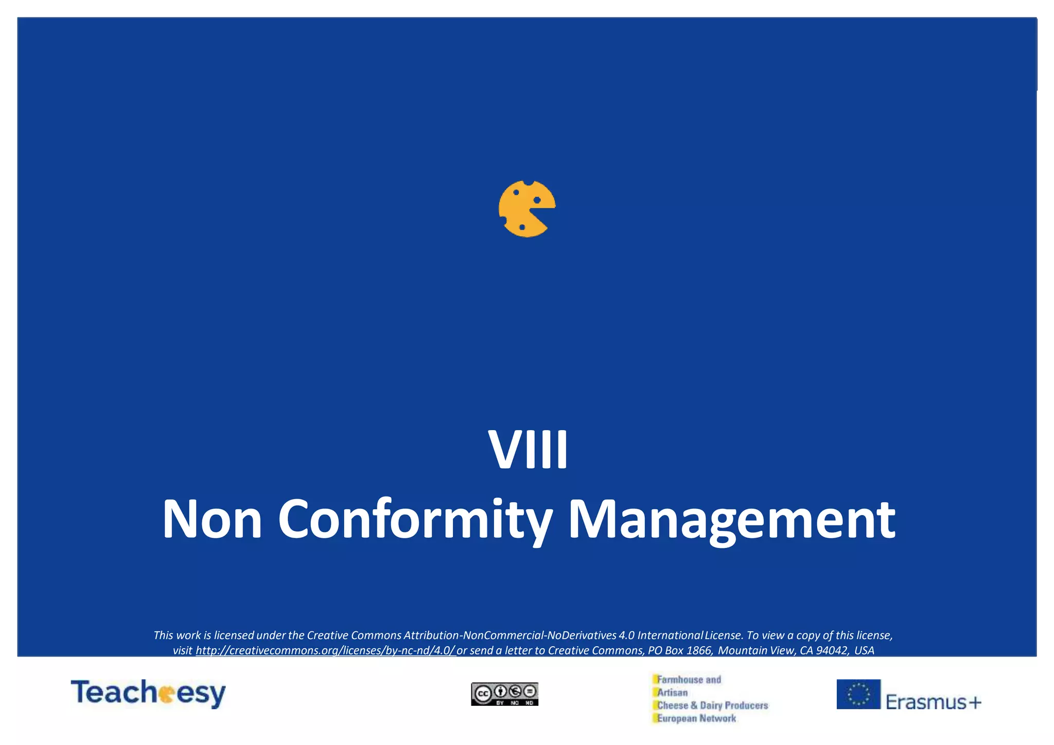 Section VIII - Non Conformity Management_EN_version_B.pptx