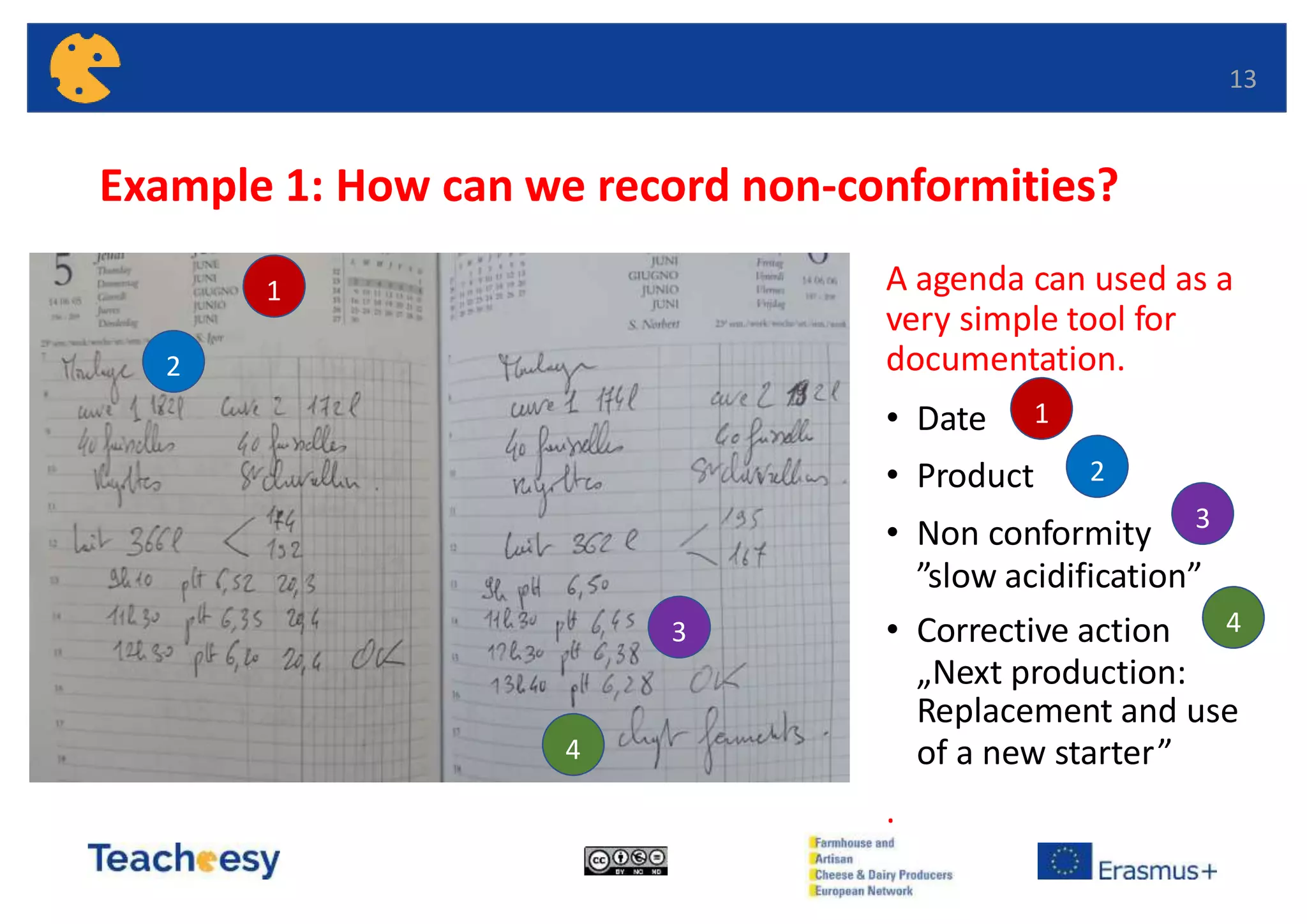Section VIII - Non Conformity Management_EN_version_B.pptx