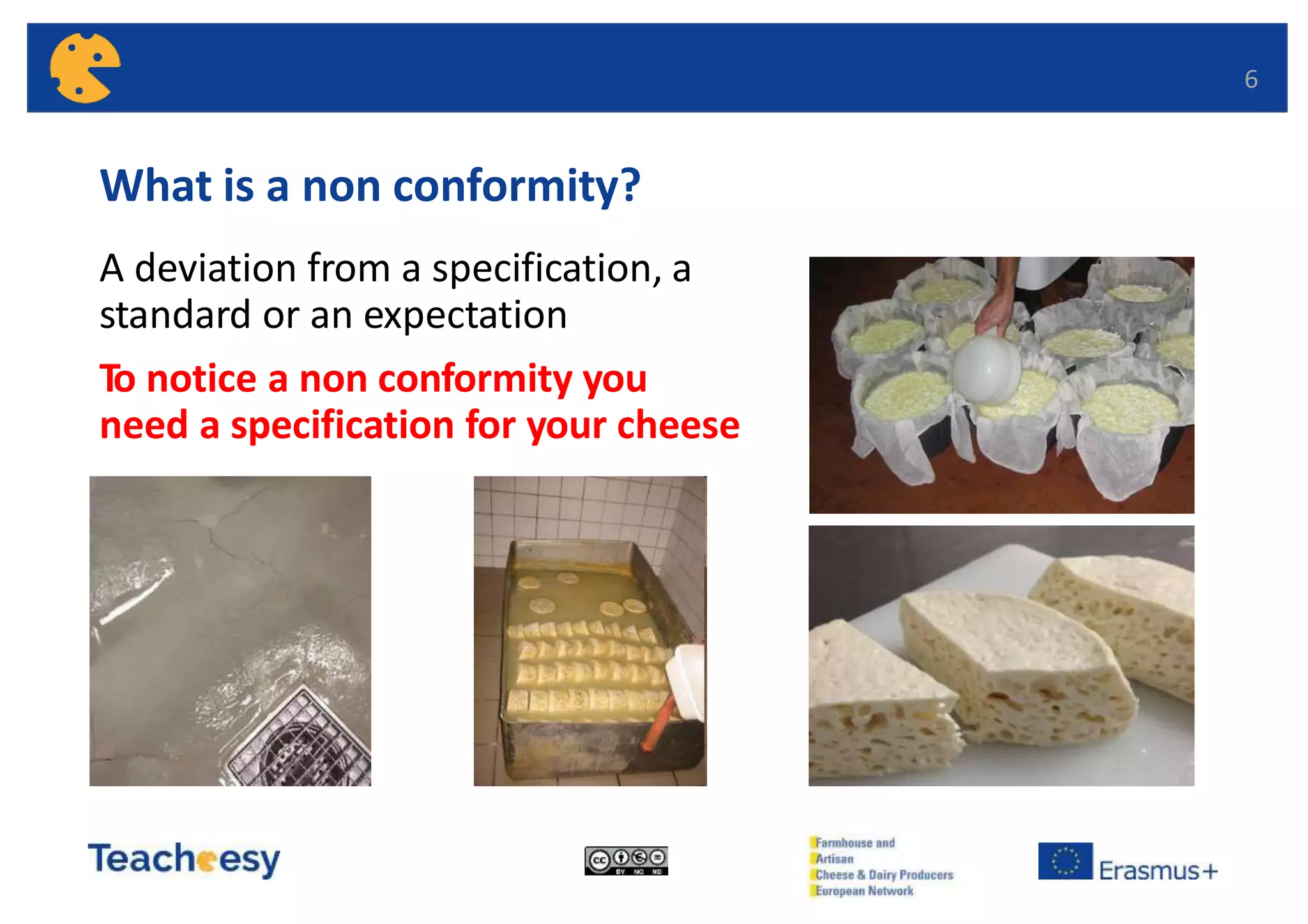 Section VIII - Non Conformity Management_EN_version_B.pptx