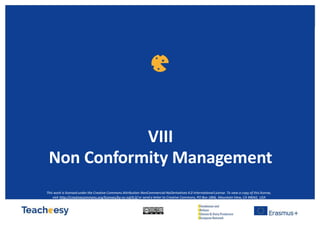 Section VIII - Non Conformity Management_EN_version_B.pptx