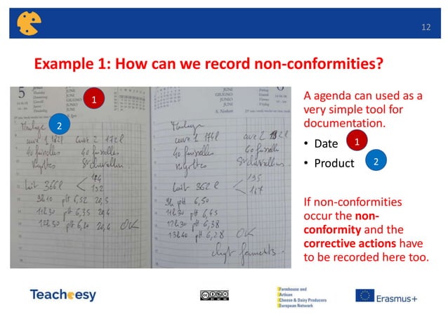 Section VIII - Non Conformity Management_EN_version_B.pptx