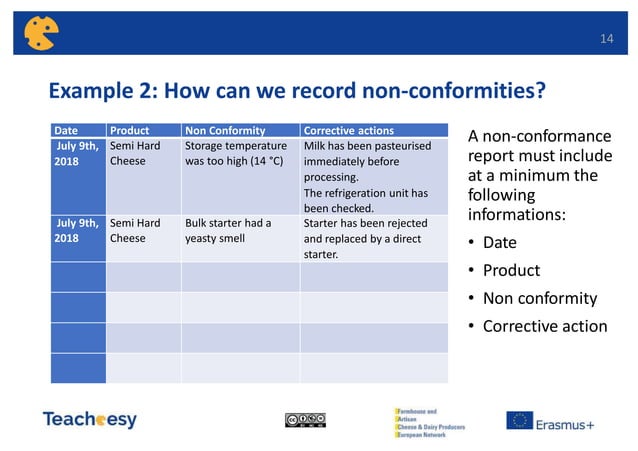 Section VIII - Non Conformity Management_EN_version_B.pptx