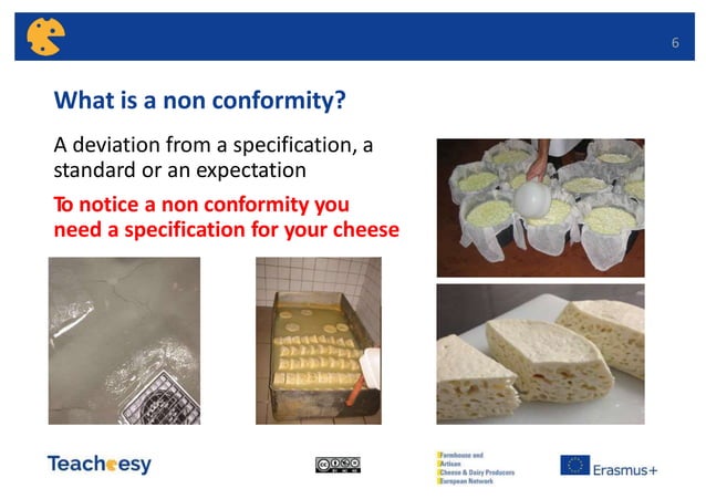 Section VIII - Non Conformity Management_EN_version_B.pptx