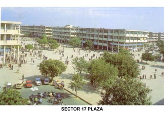 SECTOR-17.pptx