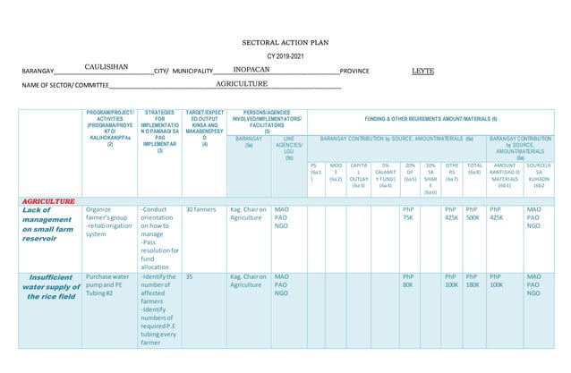 Sectoral plan 2019 2021@brgy.caul
