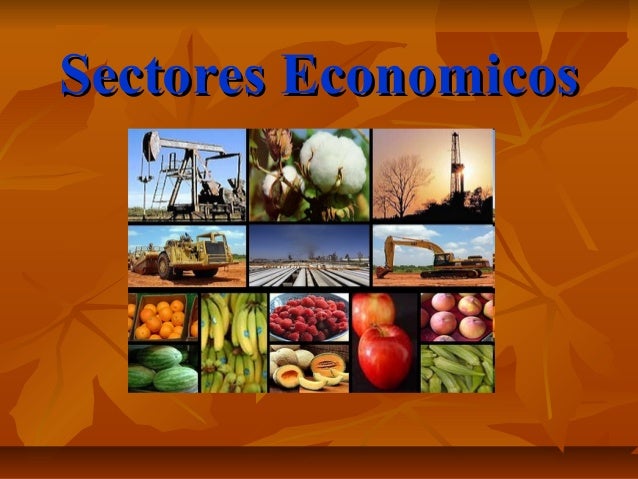 Sectores economicos