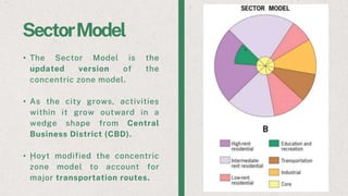 SECTOR MODEL REPORT.pptx