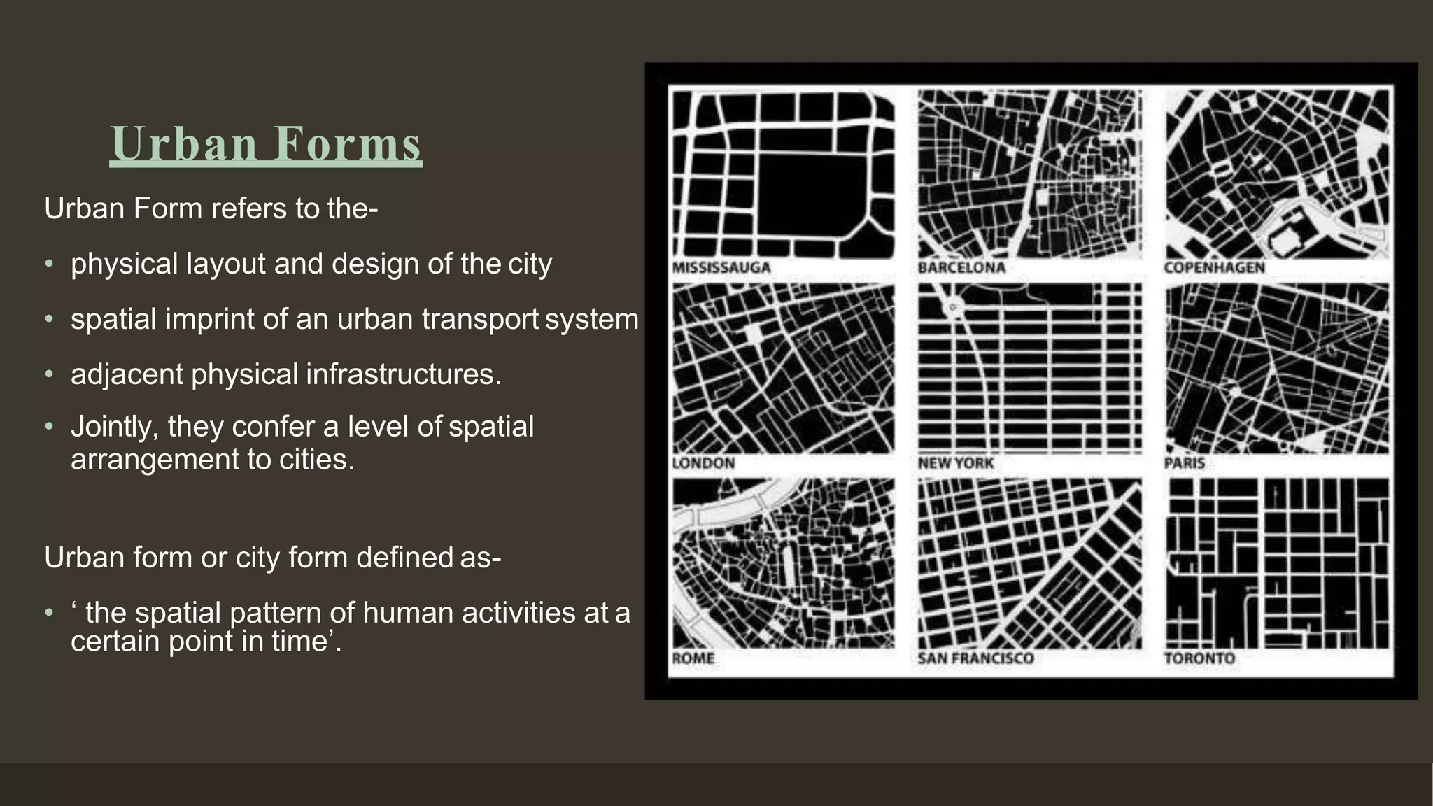 SECTOR & MULTIPLE NUCLEI.pptx