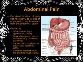 Sector Of Gastroenterological Disorder | PPTX