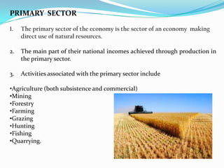 Sectors of economy | PPTX