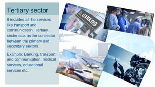 Sectors of Economy-1.pptx............... | PPT