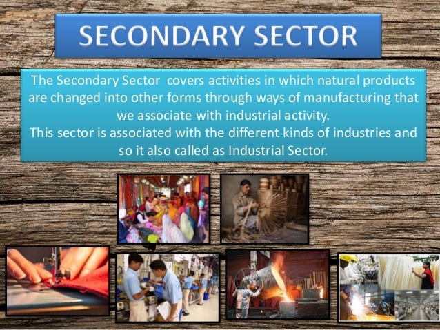 Sectors of economy