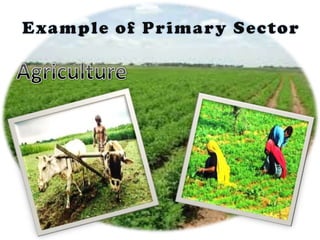 Sectors of indian economy for class 10th | PPTX