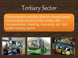 Sectors of indian economy | PPTX