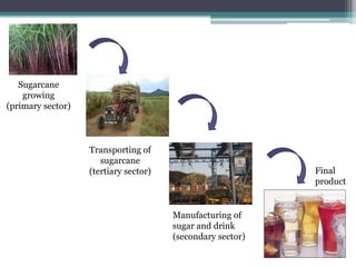 Sectors of Indian Economy | PPTX