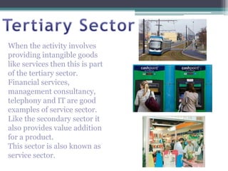 Tertiary Sector Of Indian Economy