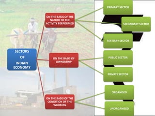 Sectors of indian economy | PPTX