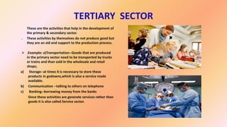 Sectors of indian economy | PPT