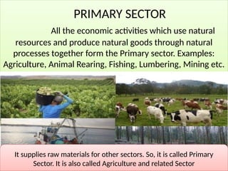 SECTORS OF INDIAN ECONOMY.pptx grade 10th | PPT