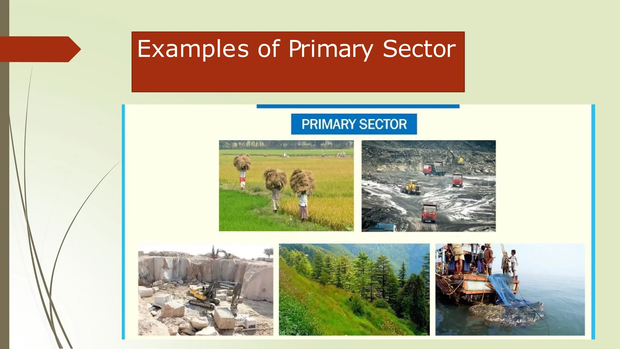SECTORS OF INDIAN ECONOMY PPT PDF.pptx | Government Support and Welfare | Financial Assistance