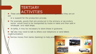 SECTORS OF INDIAN ECONOMY PPT PDF.pptx
