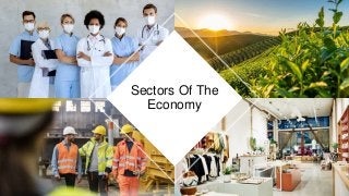 Sectors Of The Economy.pptx