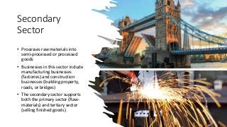 Sectors Of The Economy.pptx