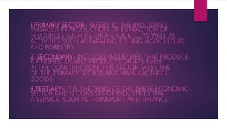 Sectors of the economy slides | PPTX