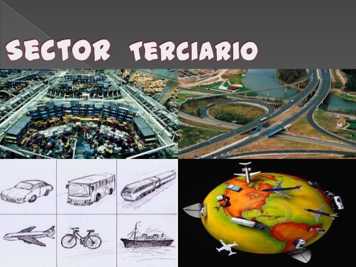 Sector terciario