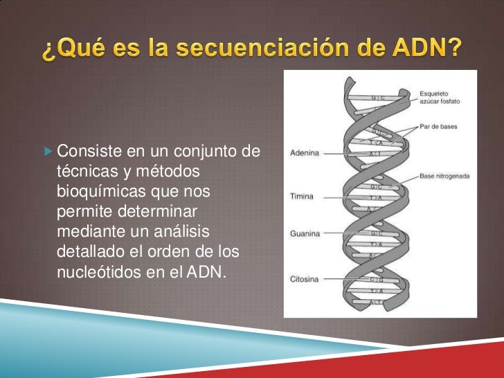 Secuenciación de adn