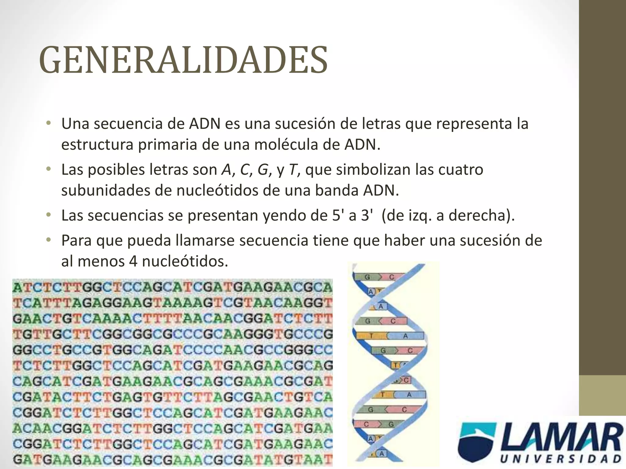 Secuenciacion de adn | PPTX
