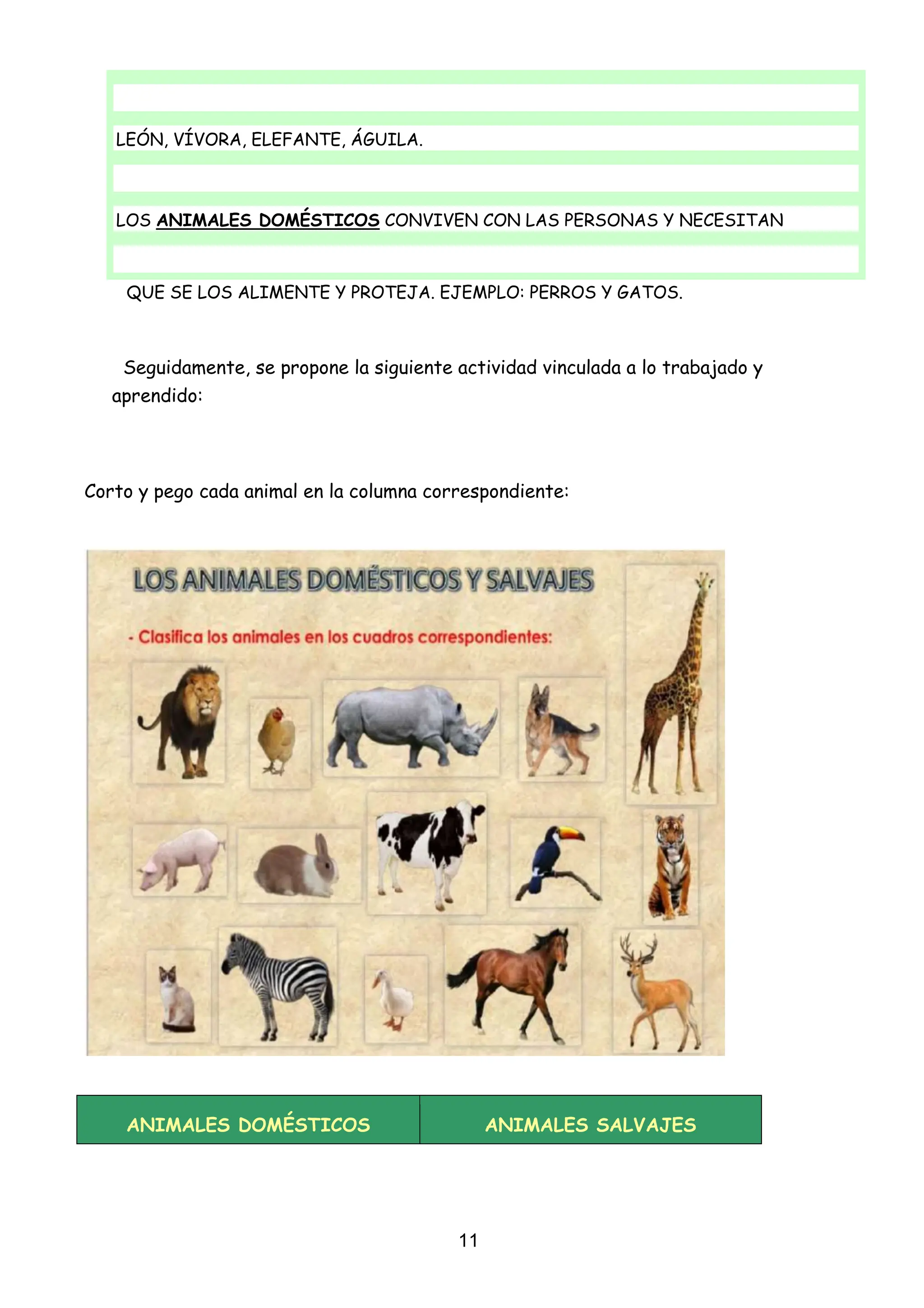 animales primer grado-ciencias naturales1 (1).docx