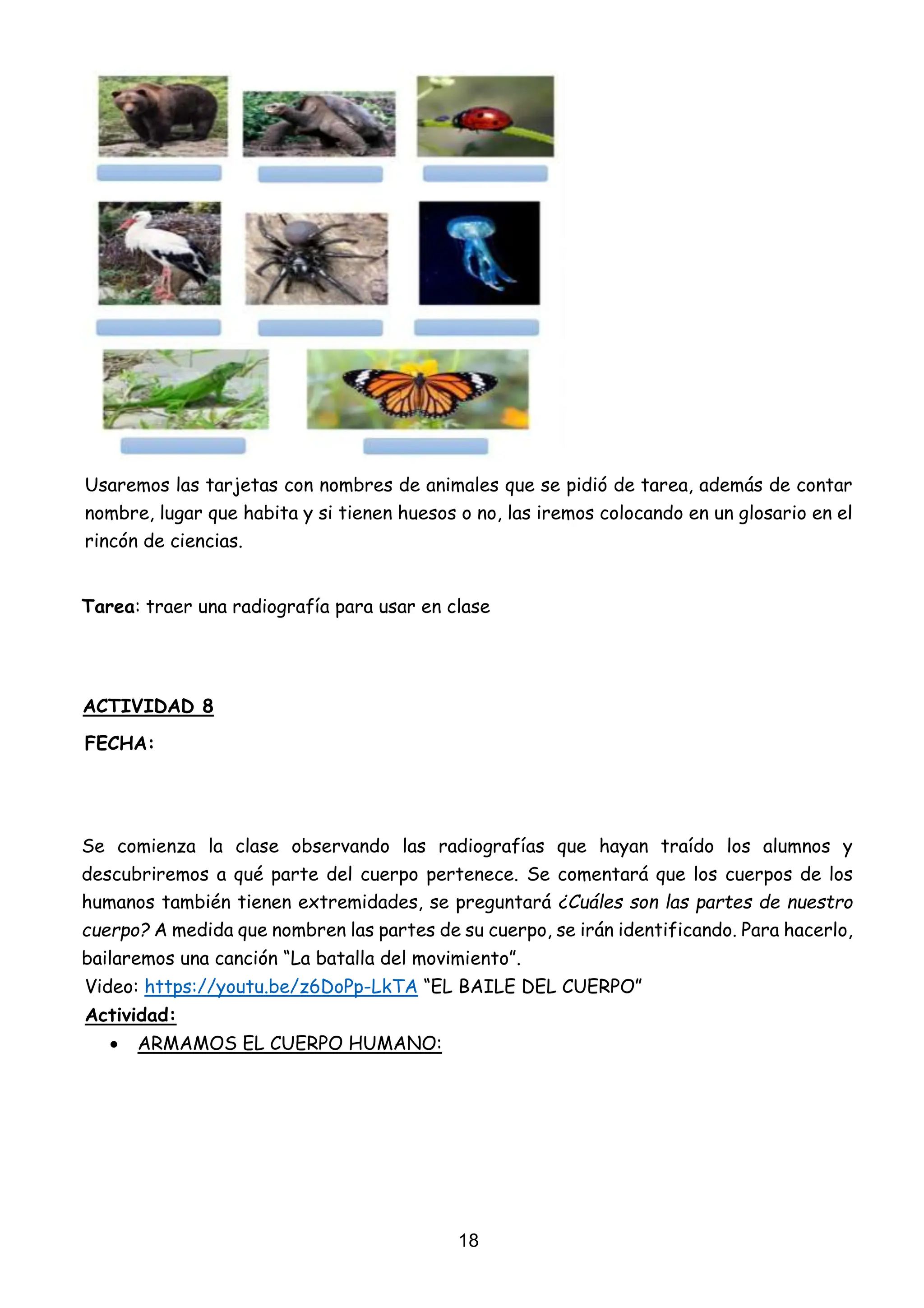 animales primer grado-ciencias naturales1 (1).docx