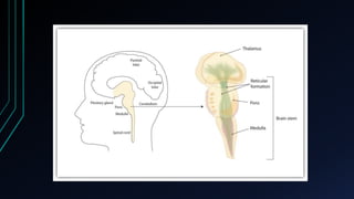 Secure 360 adversary simulation