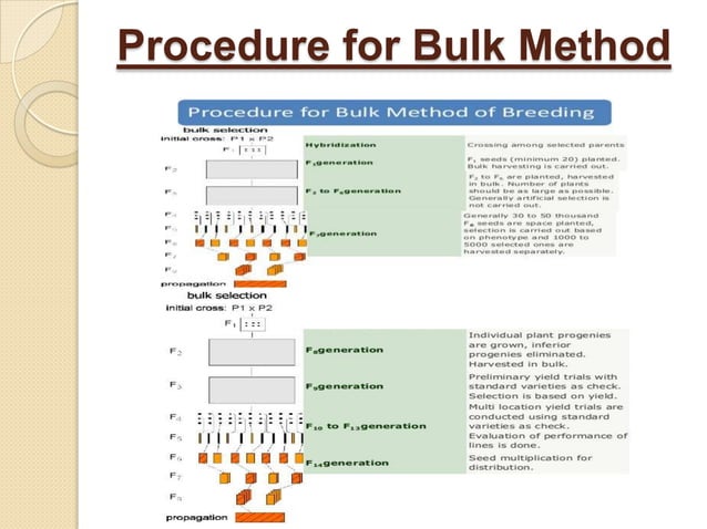 plant breeding | PDF