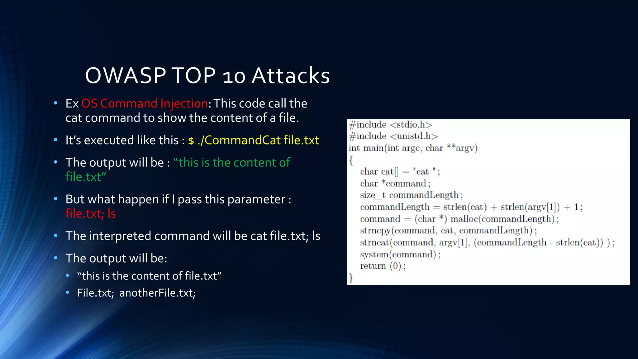 Secure Coding Guidelines Pdf