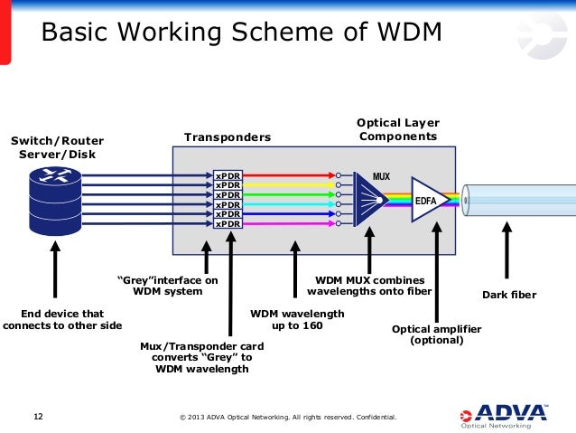 Secure, High Performance Transport Networks Based on WDM Technology