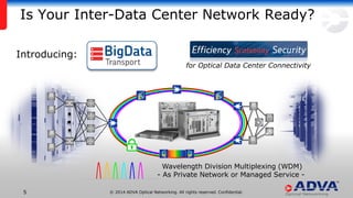Secure Optical Connectivity Solutions for High-Capacity Data Centers | PDF