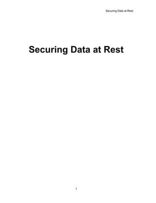 Securing data at rest with encryption | PDF